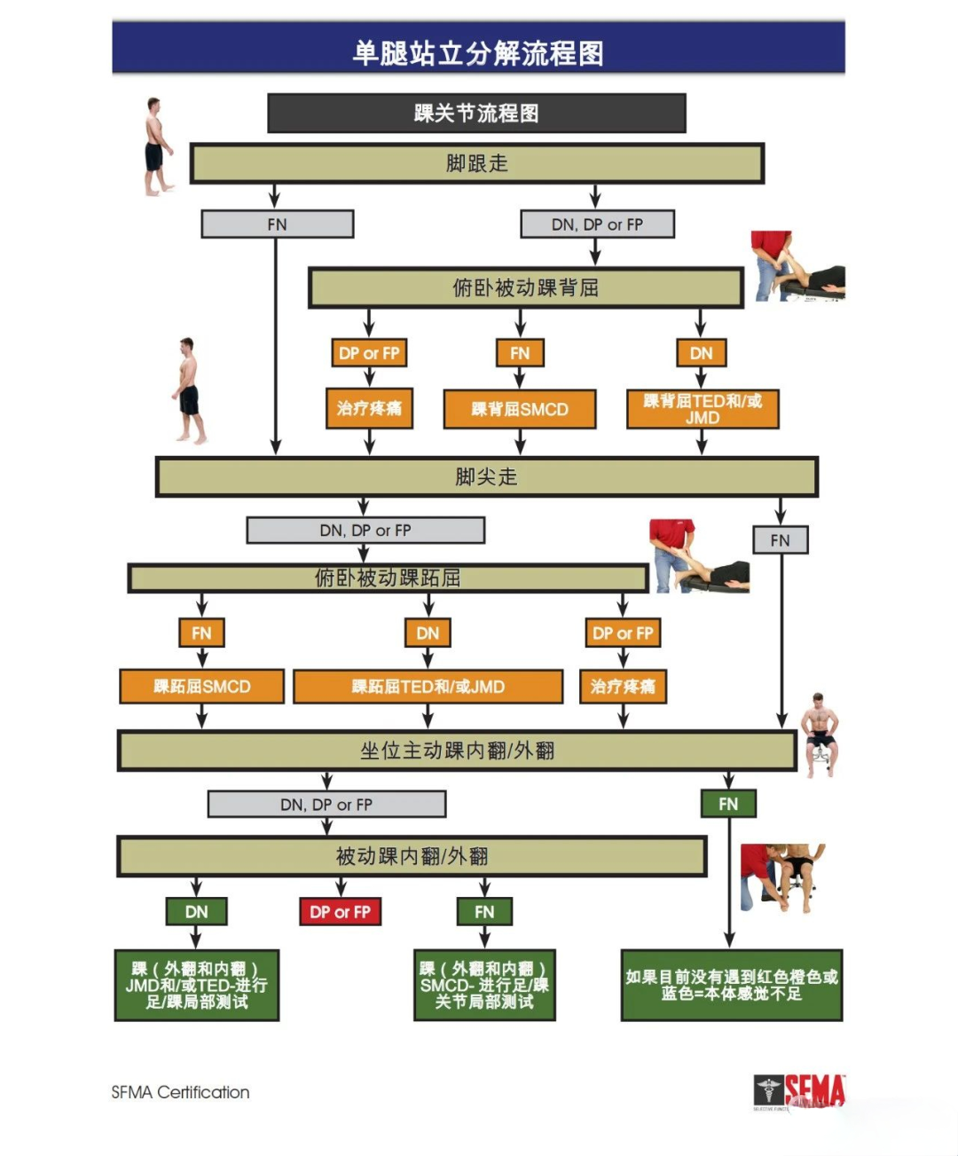 选择性功能动作筛查介绍-常笑医学网