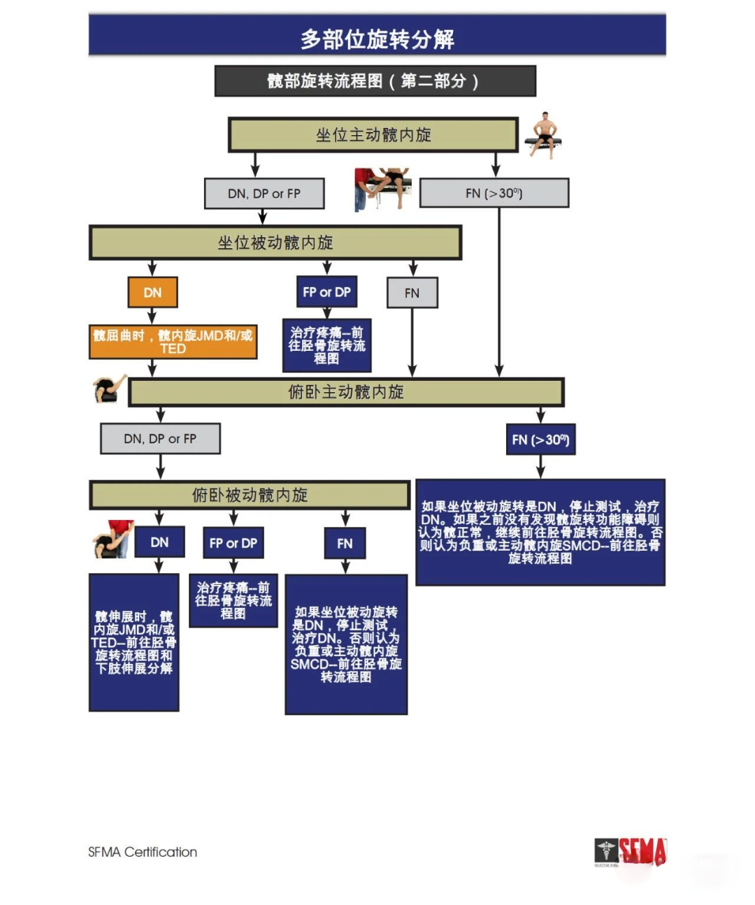 选择性功能动作筛查介绍-常笑医学网